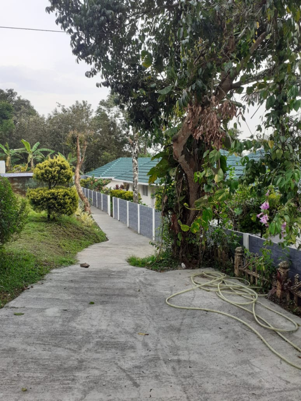 Silver Oaks Homestay in Coorg | Silver Oaks Homestay | Silver Oaks ...