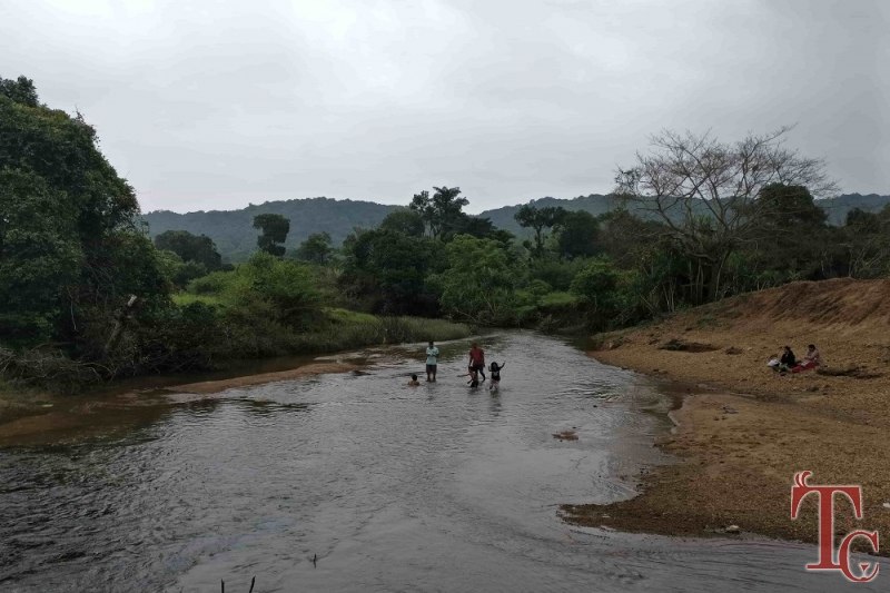 Jagate's Mist Homestay in Sakleshpura | Book Rooms Online at Jagates ...