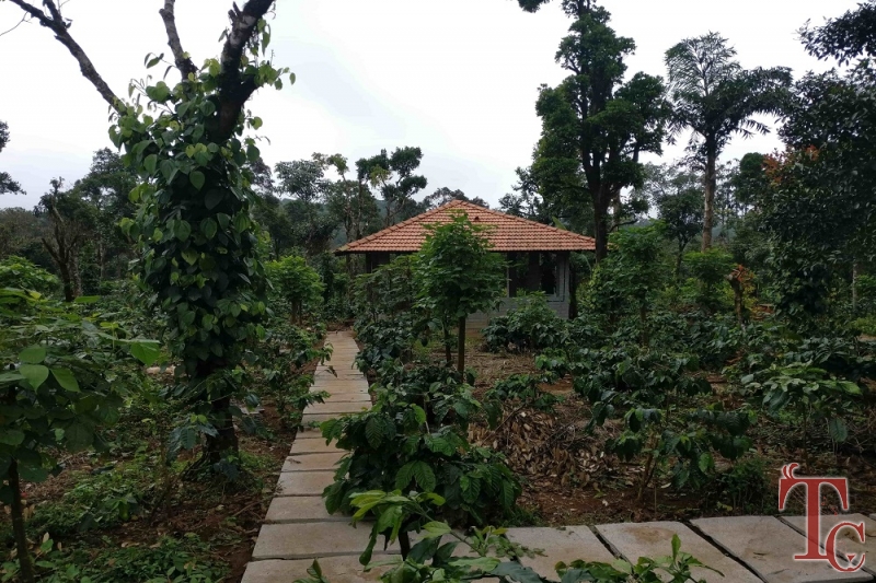 Jagate's Mist Homestay in Sakleshpura | Book Rooms Online at Jagates ...