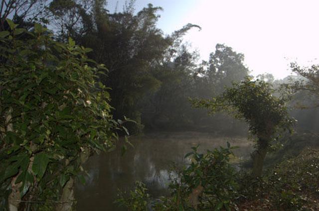 Bison Manor Homestay in Coorg | Coorg Bison Manor Homestay | Bison ...
