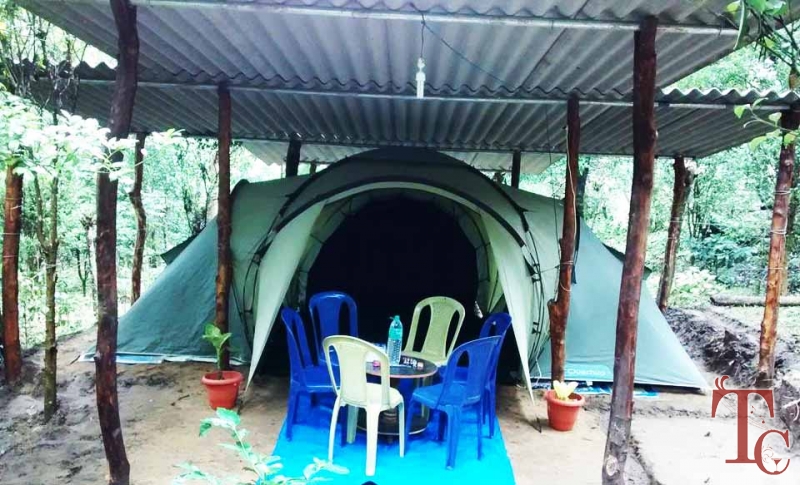 Forest Homestay in Chikkamagalur | Book Rooms at Chikamangalore Forest ...