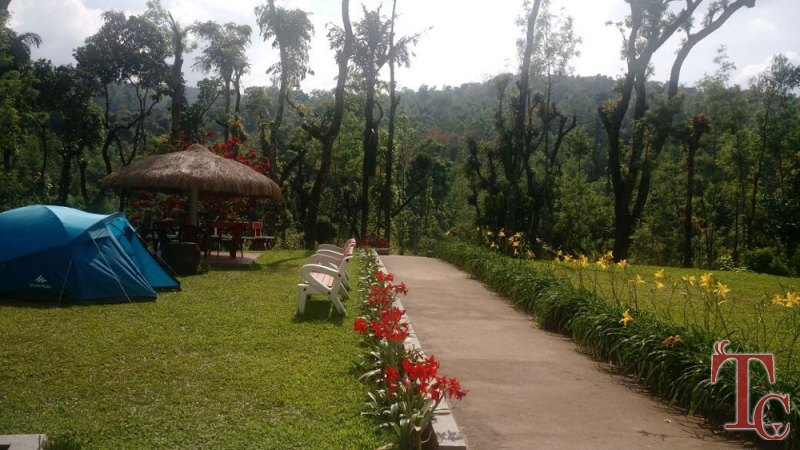 Moon Mist Homestay | Book Rooms Online at Moon Mist Chikmagalur