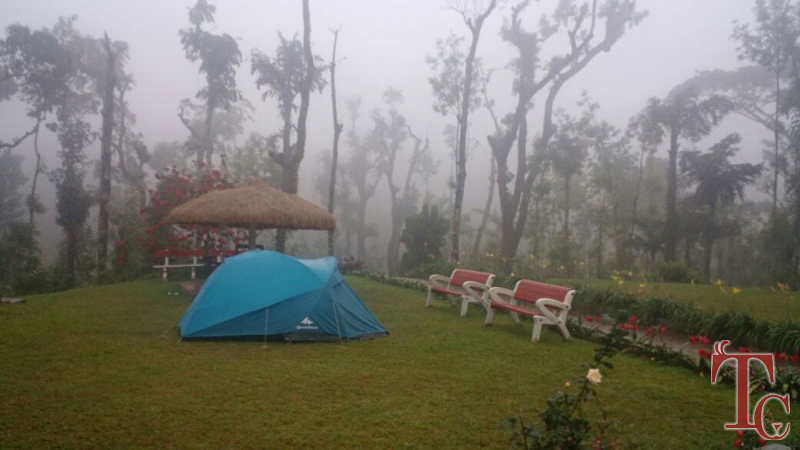 Moon Mist Homestay | Book Rooms Online at Moon Mist Chikmagalur