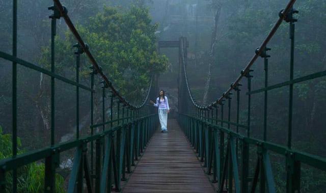 Vythiri Village Resort in Wayanad | Vythiri Village Resort and Spa ...