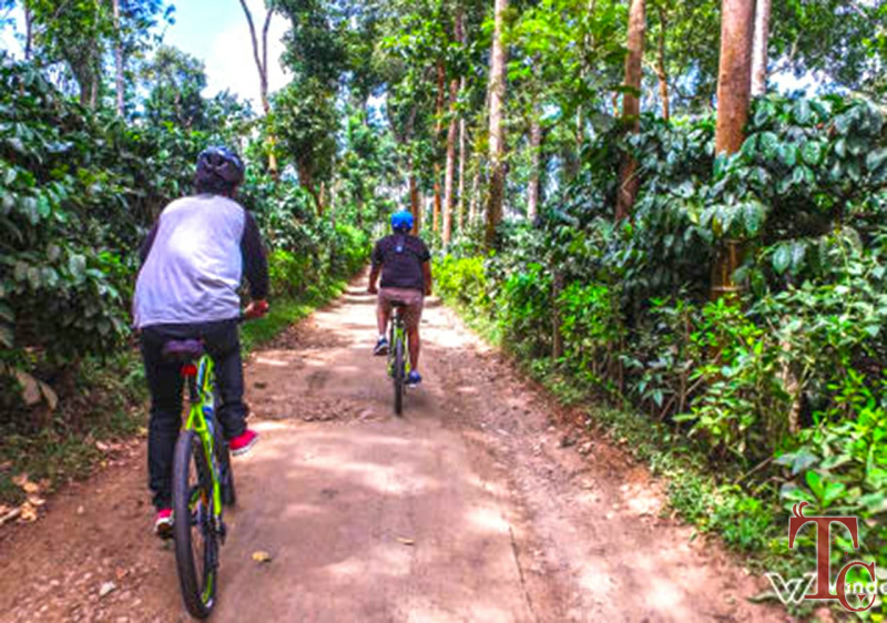 Coffee Bean Homestay in Sakleshpur | Coffee Bean Homestay | Coffee Bean ...