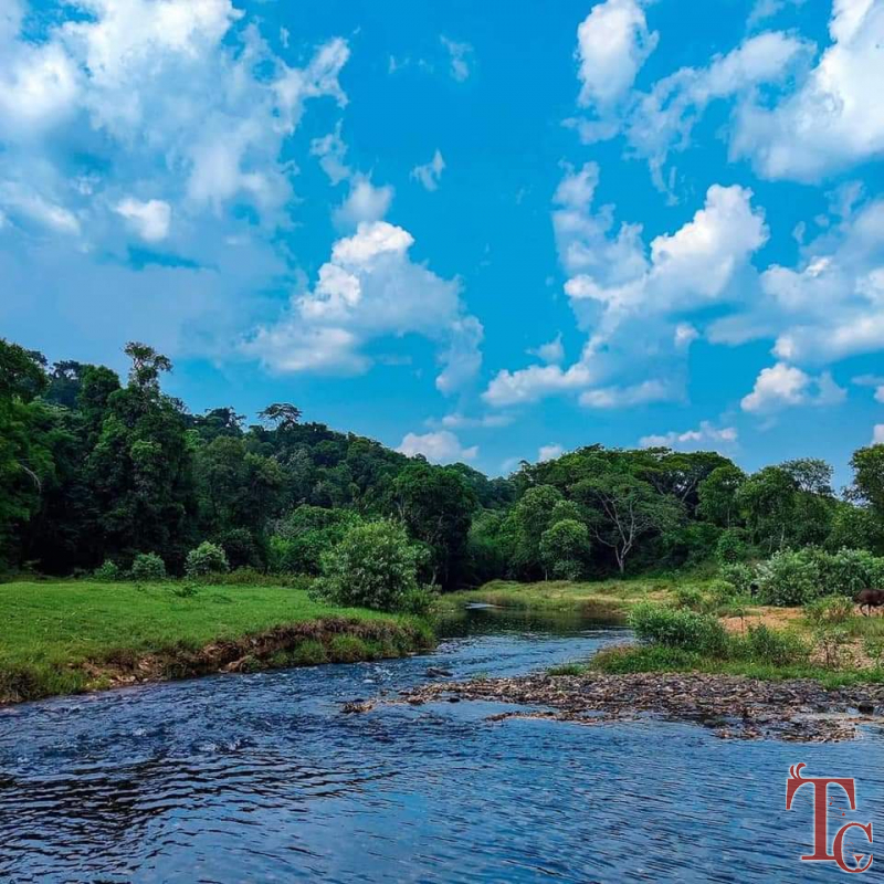 Reservation for Water Village Homestay Sakleshpur - Cottage near water ...