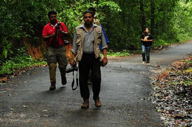 Adventure activities in Agumbe | Trekking in Agumbe | Eco study in ...