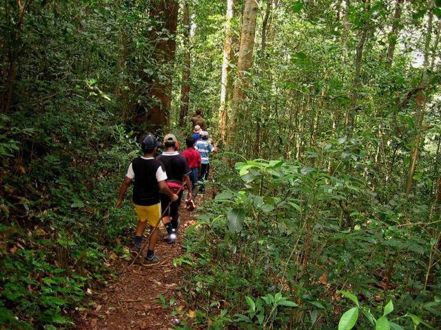 Adventure activities in Agumbe | Trekking in Agumbe | Eco study in ...
