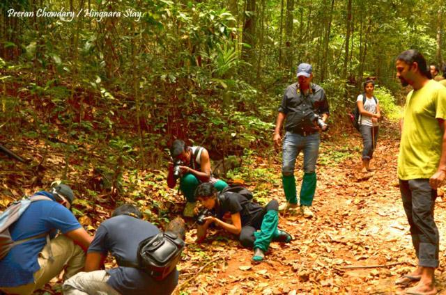 Adventure activities in Agumbe | Trekking in Agumbe | Eco study in ...