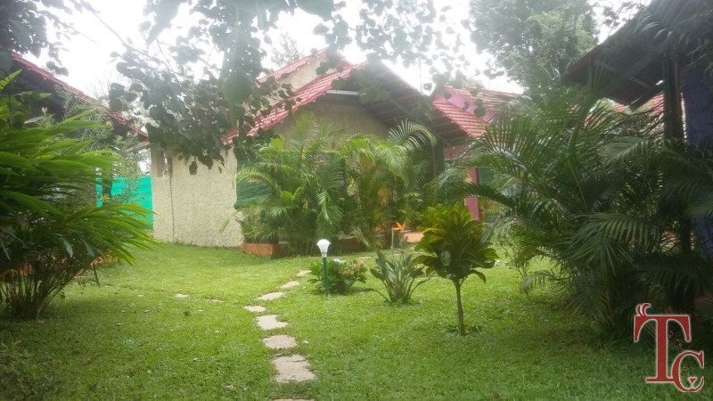 Aery Homestay in Coorg | Book Aery Homestay in Shainvarasanthe | Best ...