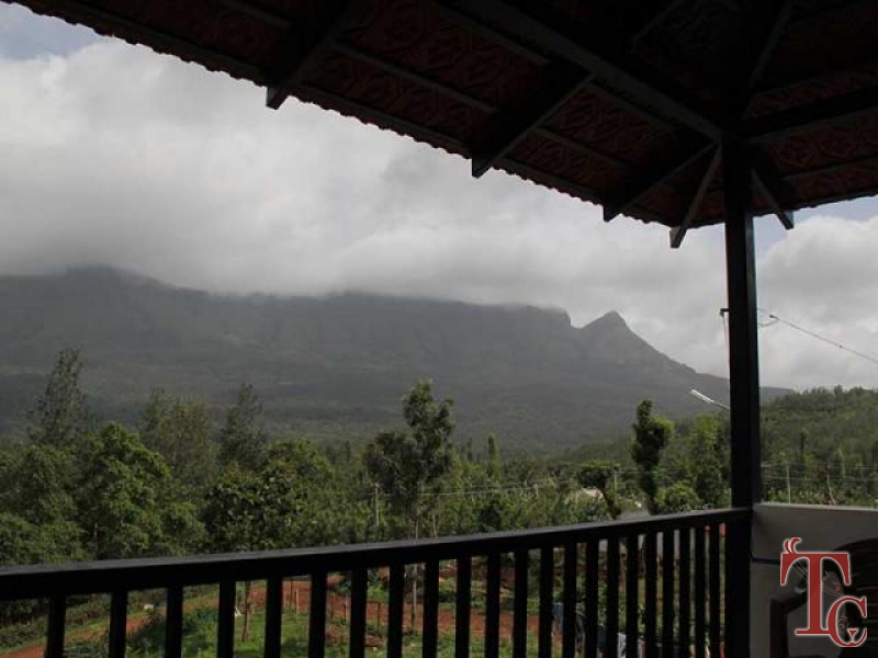 Blue Mist Homestay in Chikmagalur | Book Rooms at Blue Mist Homestay