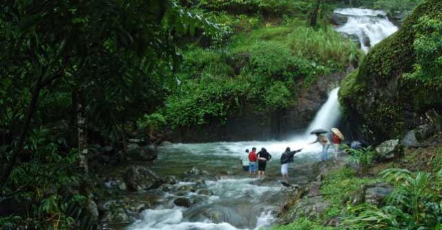 Blue Ginger Wayanad Resort | Book holiday at Blue Gimger Resort | Best ...