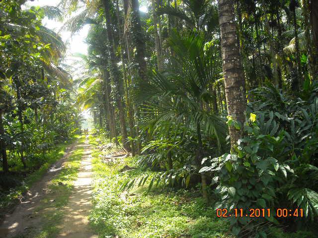 The Karle Homestay in Sakleshpur | Sakleshpur The Karle Homestay | The ...